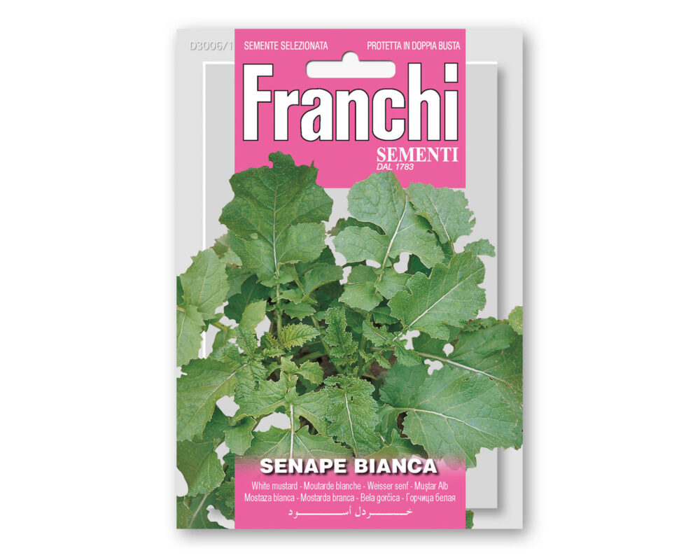 Semi di Senape Bianca - Franchi sementi - FloralGarden